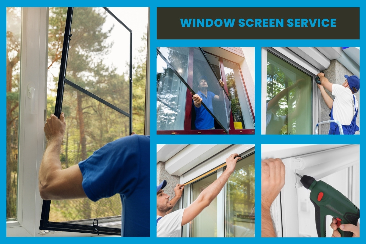 Window Screen Service - Your Local New Orleans, Louisiana Pressure ...